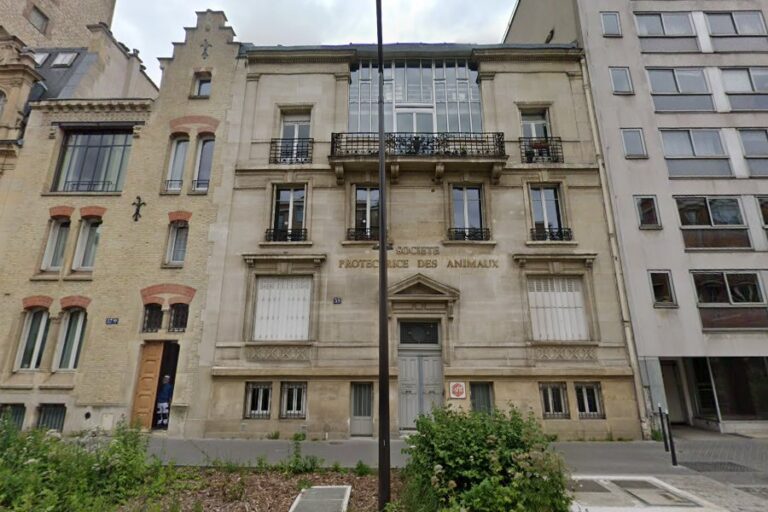 Société Protectrice des Animaux (SPA) – Siège Social, Adresse et ...